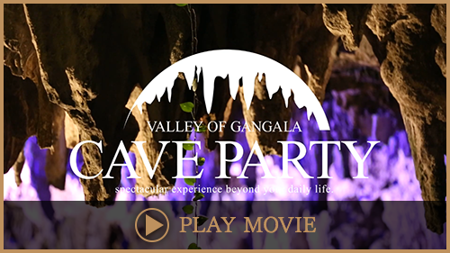 Cave Party plan | Valley of Gangala